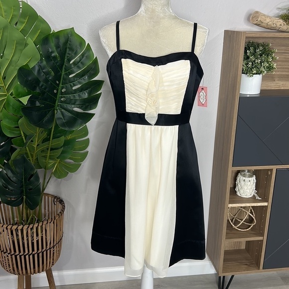 Phoebe Couture | Dresses | Nwt Phoebe Couture Silk Babydoll Special ...